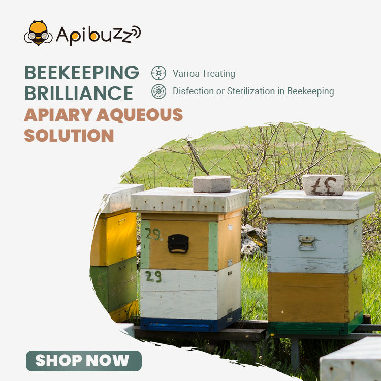 Master How to Prevent Bee Mites | APIBUZZ Varroa Mite Treatment ...