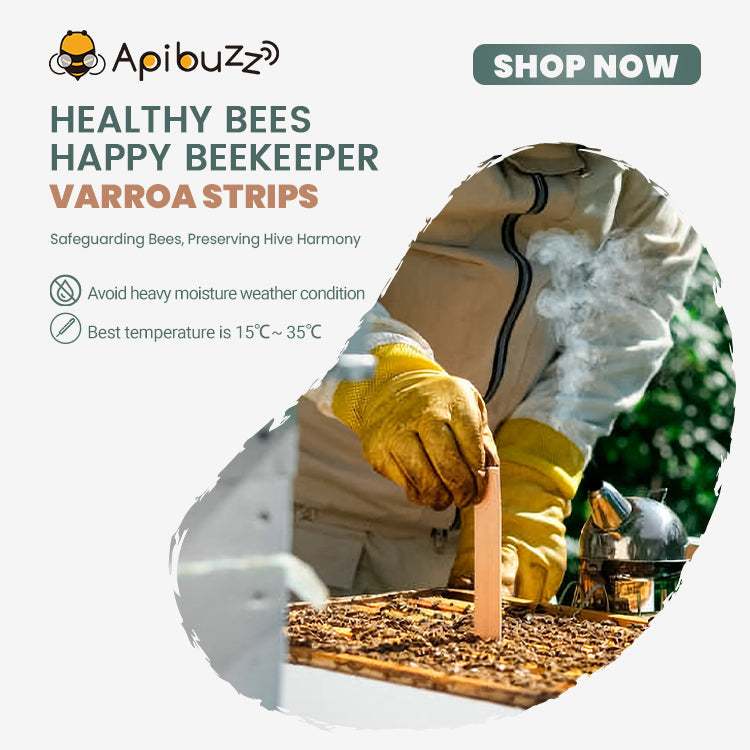 APIBUZZ Anti Varroa Mite Strips | Beehive Mite Treatment | Beekeeping ...